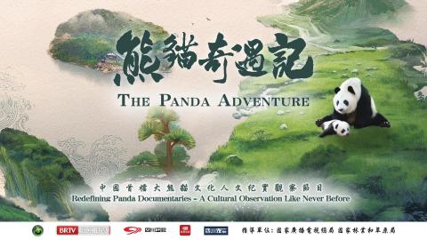 香港電台網站 : 電視|熊貓奇遇記