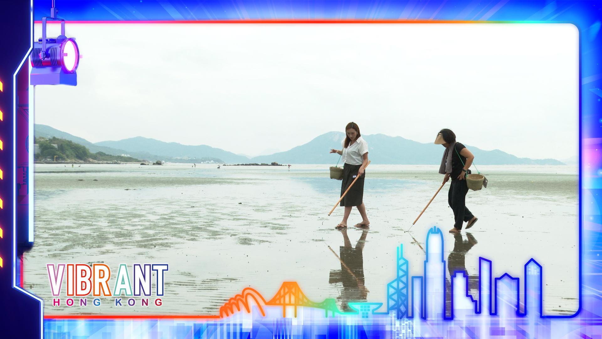 香港電台網站 : 電視|Vibrant Hong Kong|Episode 67 ( HKGCC / Shui Hau / Singapore Fes / Guo Pei )